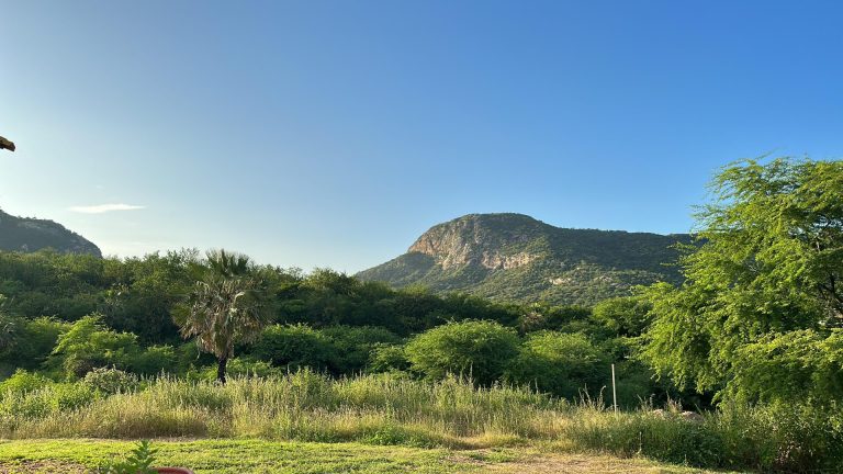 Home - Solis Minerals